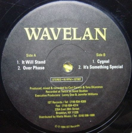 Wavelan – It Will Stand (IST 007 RP) - Ultimate House Merchandise